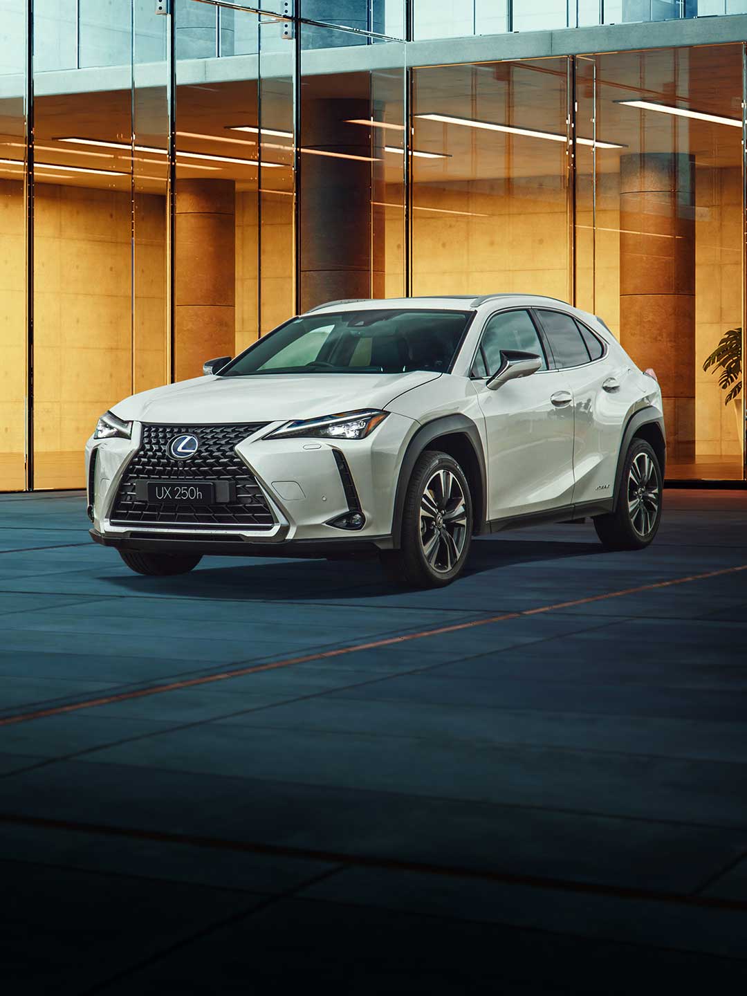 Encuentra las SUV y sedanes Lexus de lujo en Mitsui Automotriz